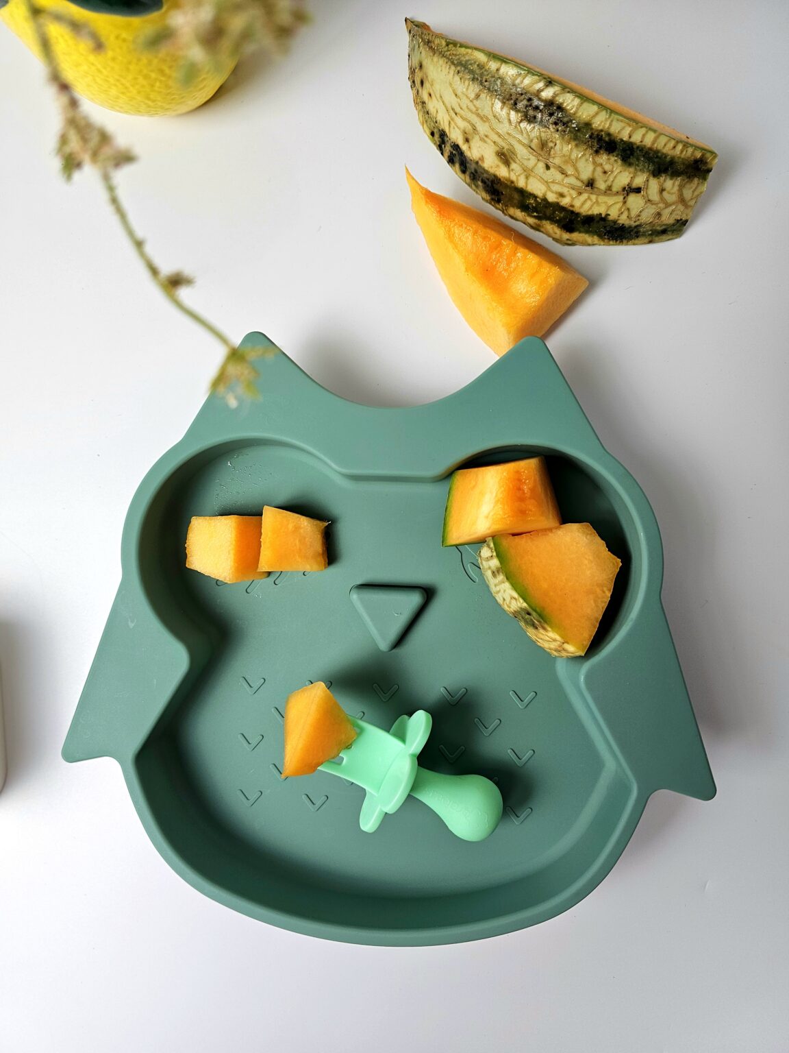 Le melon - DME Bébé