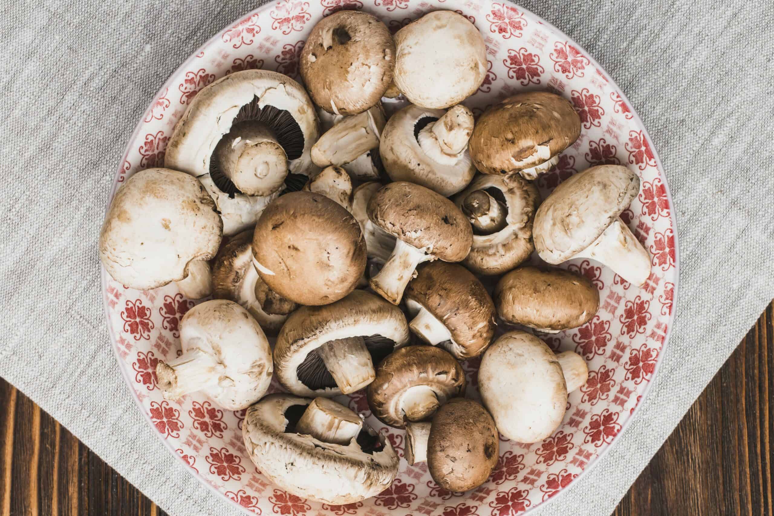 Comment faire manger des champignons à bébé ? - DME Bébé